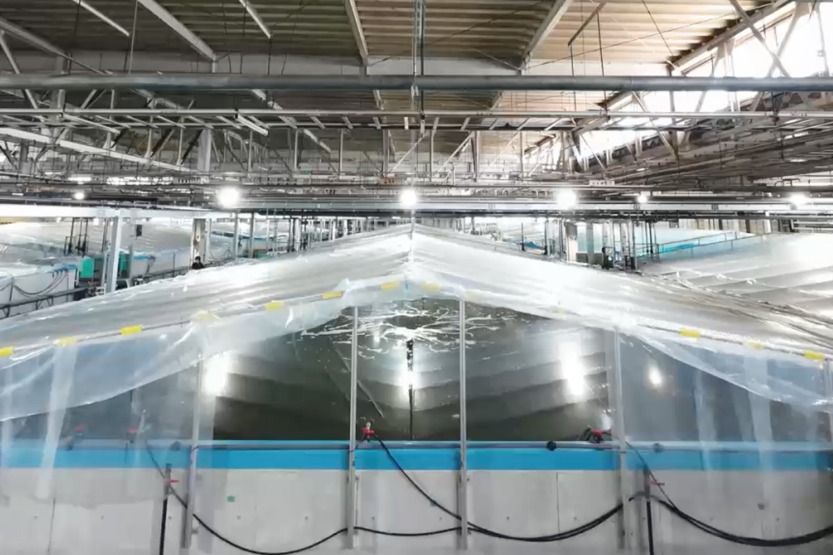 NTTグリーン＆フード株式会社